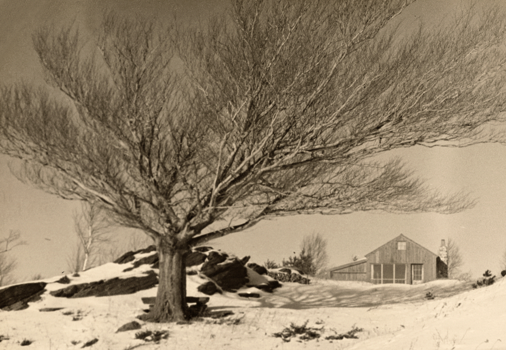 Heath Pasture Studio, Robert Strong Woodward, Painter of New England ...