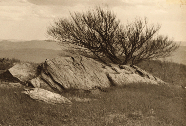 Heath Pasture Studio, Robert Strong Woodward, Painter of New England ...