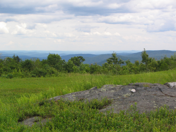 Heath Pasture Studio, Robert Strong Woodward, Painter of New England ...