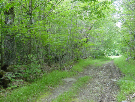 Heath Pasture Studio, Robert Strong Woodward, Painter of New England ...